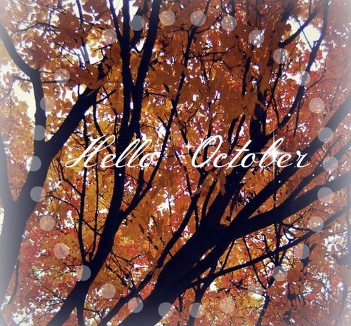 Autumn Tree Leaves & Branches - Hello October Pictures, Photos, and ...