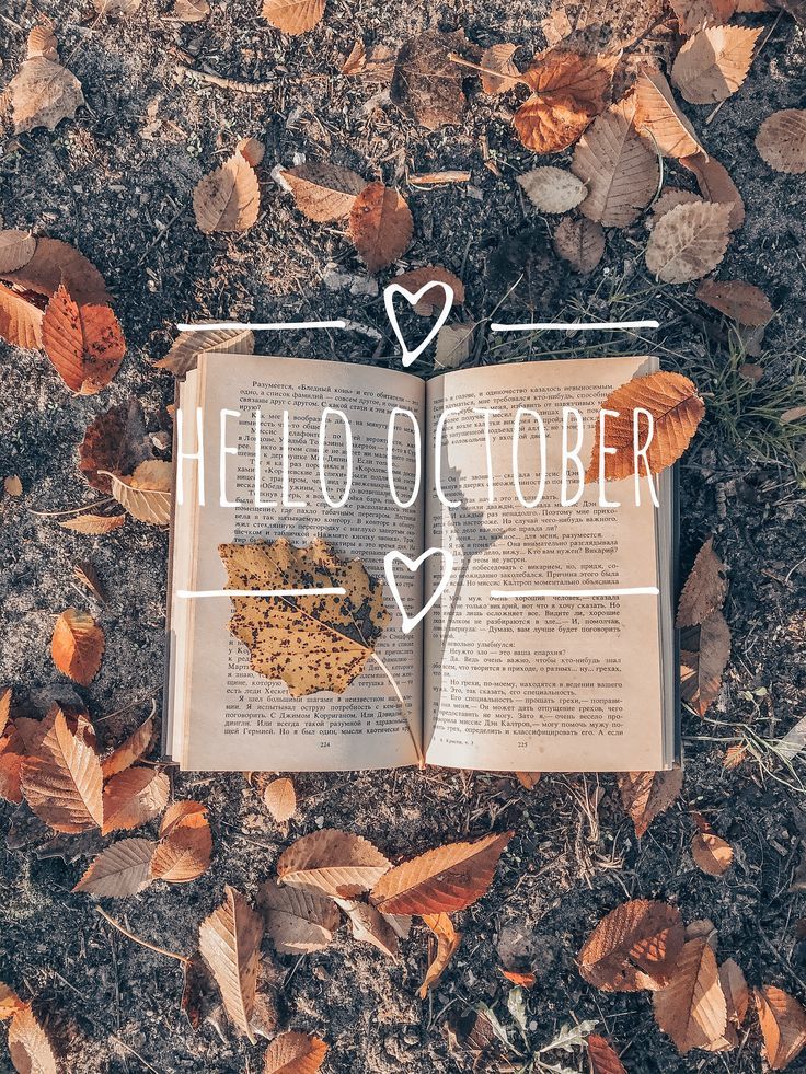 Book On Ground With Leaves - Hello October Pictures, Photos, and Images ...