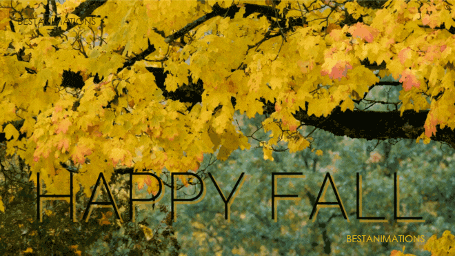 Windy Yellow Leaves - Happy Fall Gif Pictures, Photos, and Images for ...