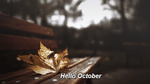 Leaf On Bench - Hello October Gif Pictures, Photos, and Images for ...