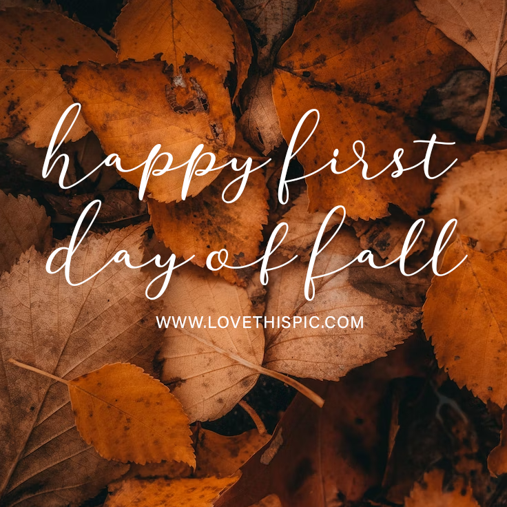 Orange Crisp Leaves - Happy First Day Of Fall Pictures, Photos, and ...