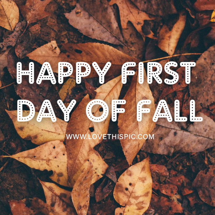 Dried Leaves On Ground - Happy First Day Of Fall Pictures, Photos, and ...