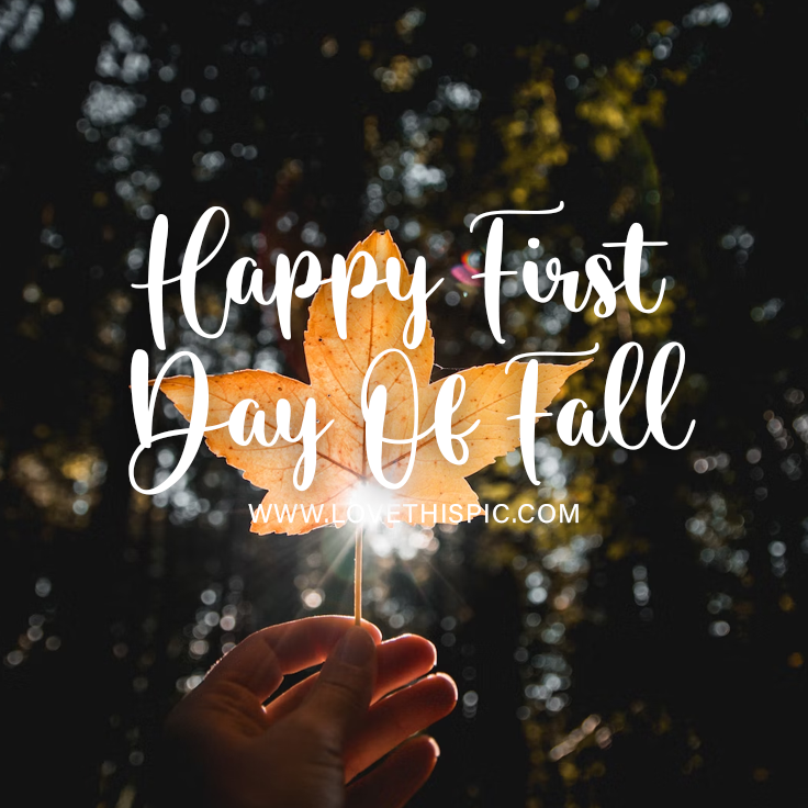 Maple Leaf In Sun - Happy First Day Of Fall Pictures, Photos, and ...