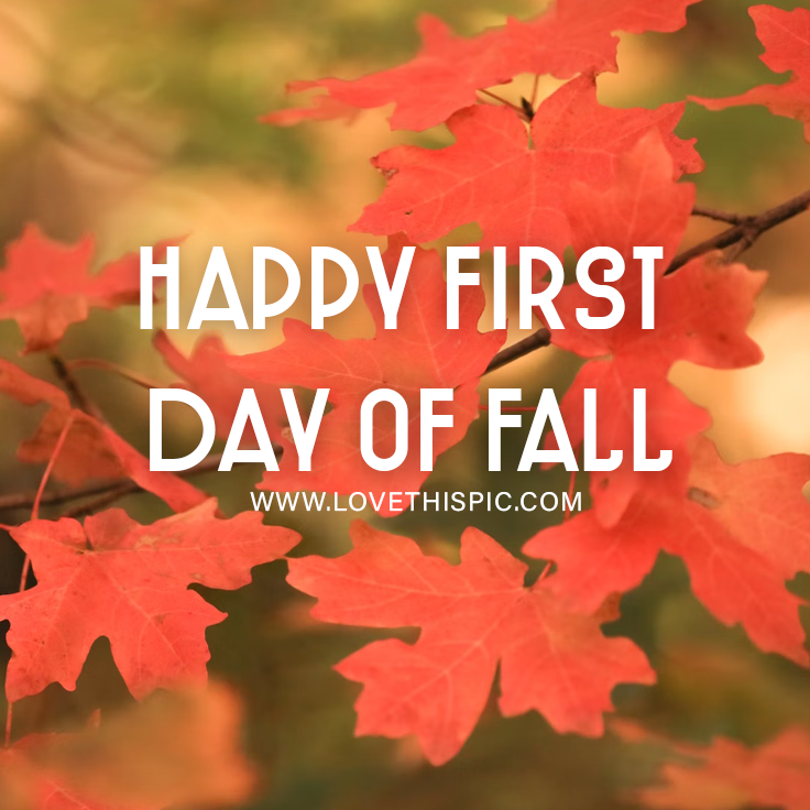Red Orange Maple Leaves - Happy First Day Of Fall Pictures, Photos, and ...