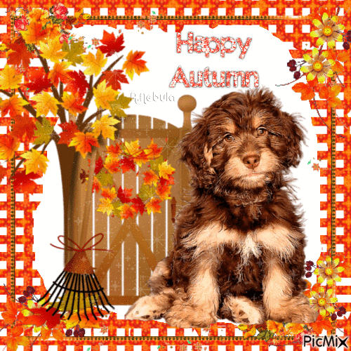 Happy Autumn Puppy Pictures, Photos, and Images for Facebook, Tumblr ...