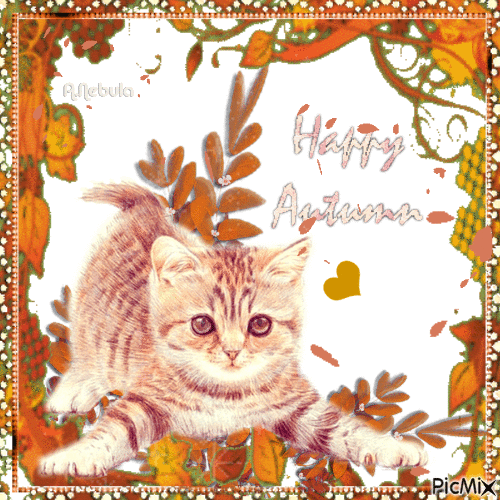 Fall Kitty - Happy Autumn Pictures, Photos, and Images for Facebook ...