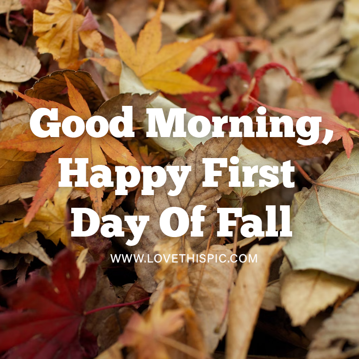 Crunchy Leaves - Good Morning, Happy First Day Of Fall Pictures, Photos ...