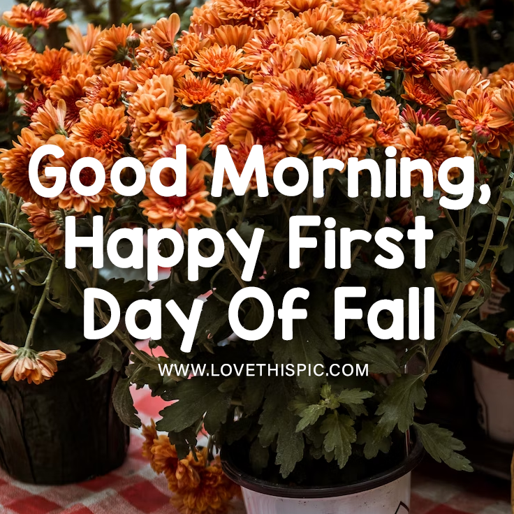 Orange Flowers - Good Morning, Happy First Day Of Fall Pictures, Photos ...