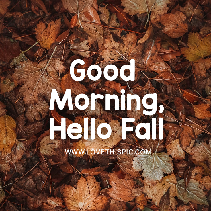 Wet Leaves - Good Morning, Hello Fall Pictures, Photos, and Images for ...