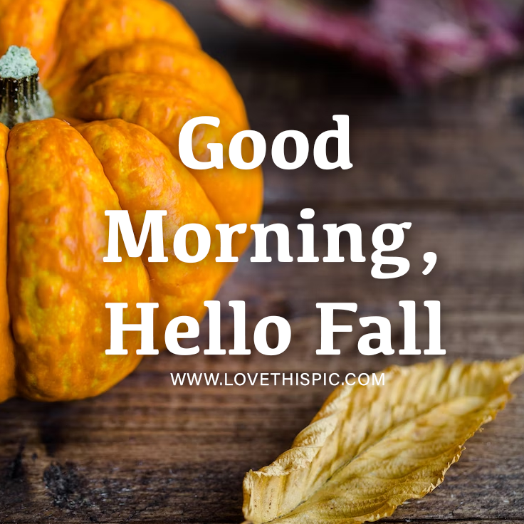 Orange Squash And Leaf - Good Morning, Hello Fall Pictures, Photos, and ...
