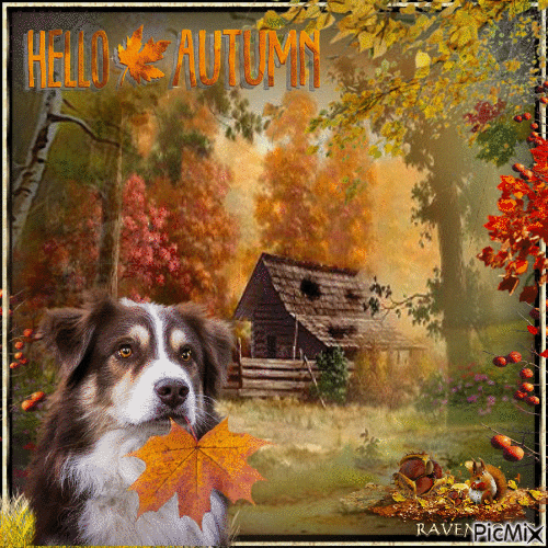 Dog With Leaf - Hello Autumn Pictures, Photos, and Images for Facebook ...