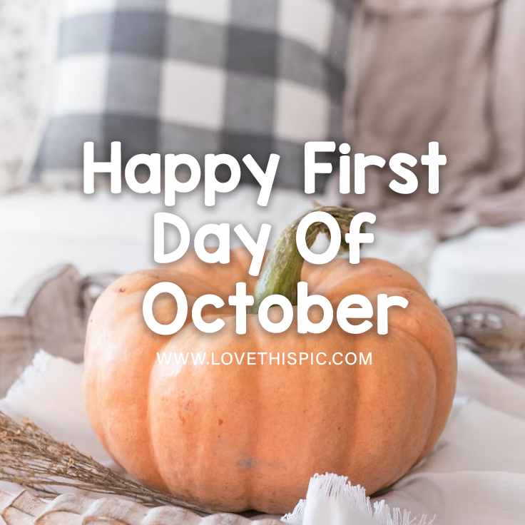 Pumpkin On Tray - Happy First Day Of October Pictures, Photos, and ...