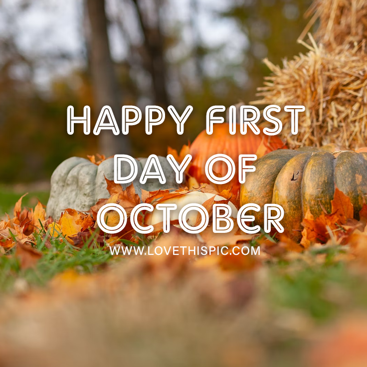 Leaves And Pumpkin - Happy First Day Of October Pictures, Photos, and Images for Facebook ...