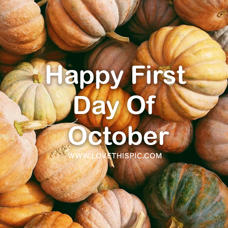 Small Pumpkin Bundle - Happy First Day Of October Pictures, Photos, and ...