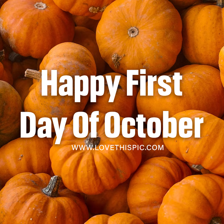 Bright Orange Mini Pumpkins - Happy First Day Of October Pictures ...