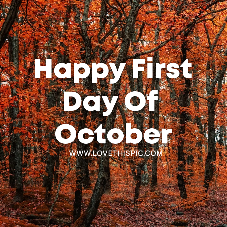 Autumn Field With Leaves - Happy First Day Of October Pictures, Photos ...