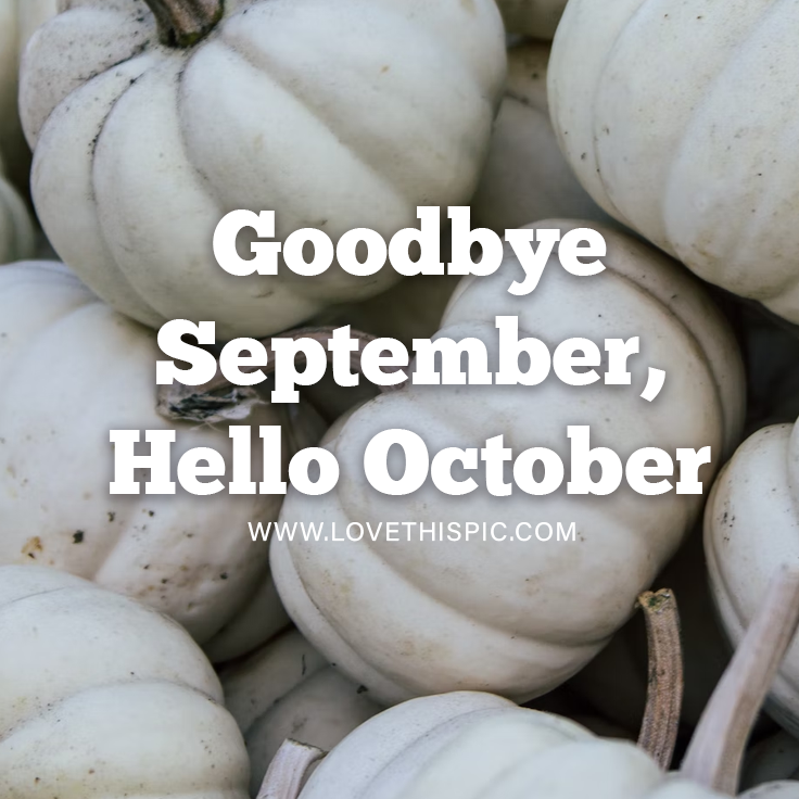 White Pumpkins - Goodbye September, Hello October Pictures, Photos, and ...