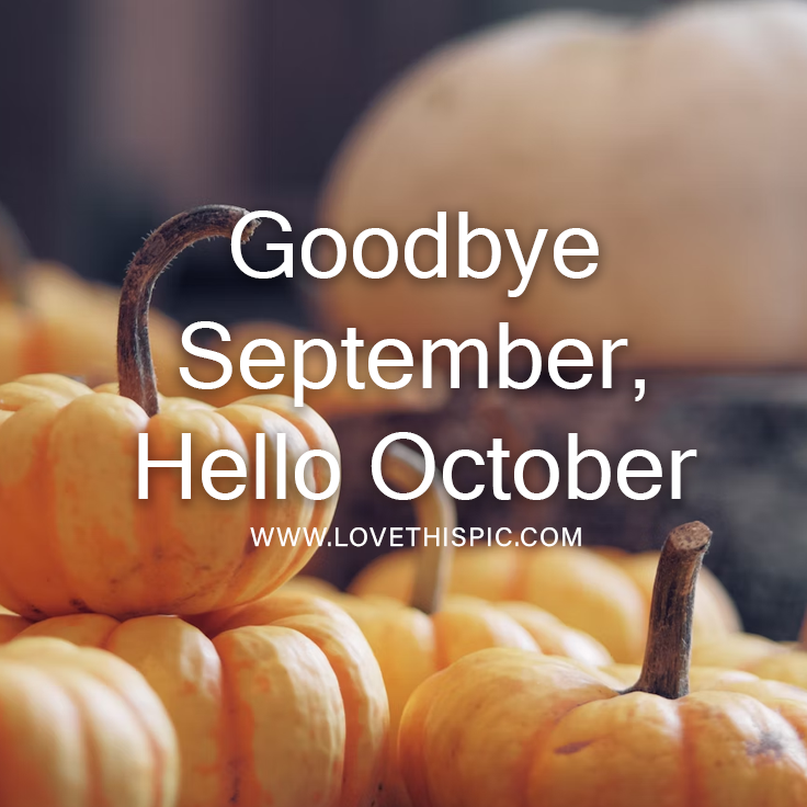 Baby Pumpkins - Goodbye September, Hello October Pictures, Photos, and ...