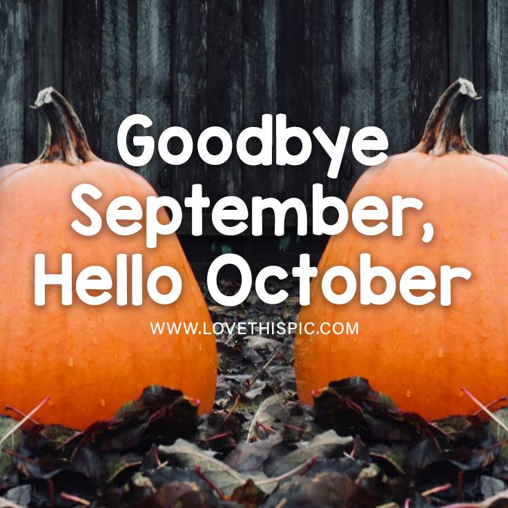 Twin Pumpkins - Goodbye September, Hello October Pictures, Photos, and ...
