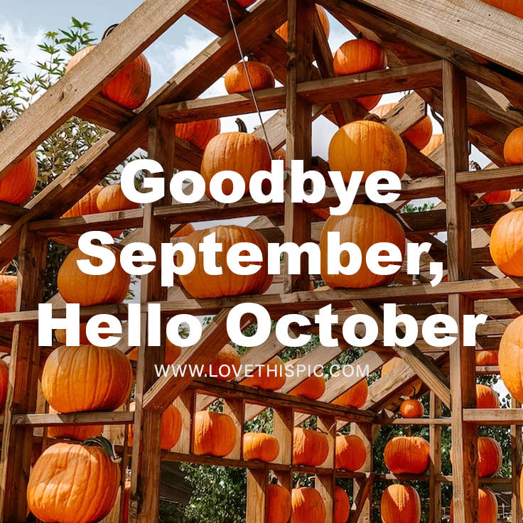 Pumpkin House - Goodbye September, Hello October Pictures, Photos, and ...