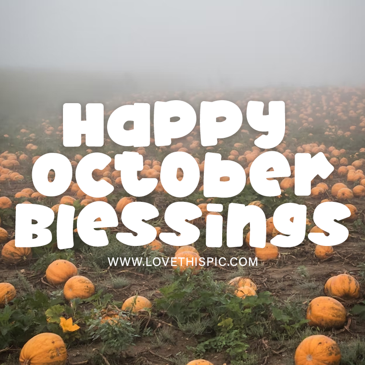 Foggy Pumpkin Patch - Happy October Blessings Pictures, Photos, and ...