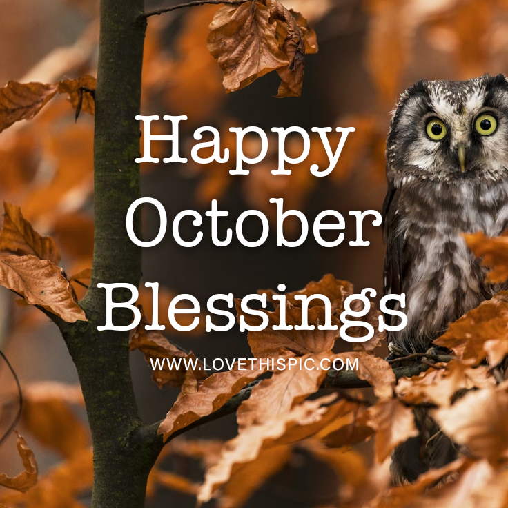 Owl In Tree - Happy October Blessings Pictures, Photos, and Images for ...