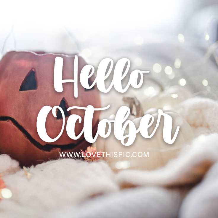 Pumpkin Ceramic - Hello October Pictures, Photos, and Images for ...