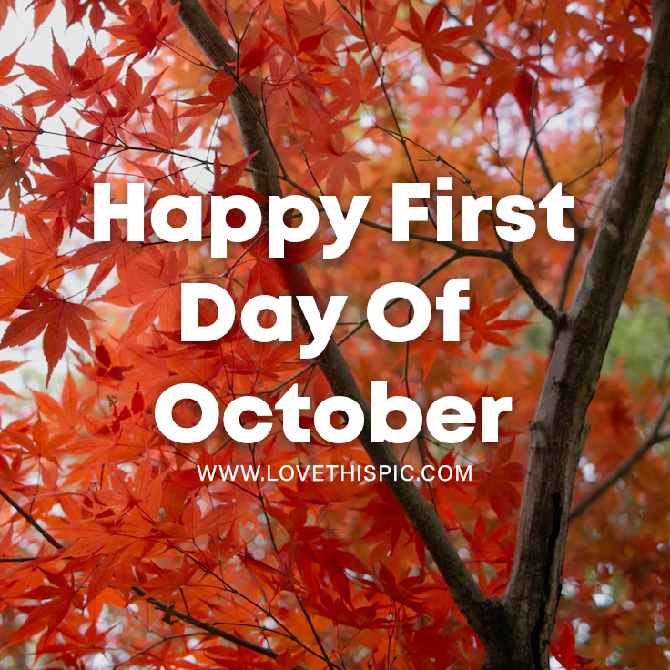 Red Leafted Tree - Happy First Day Of October Pictures, Photos, and ...