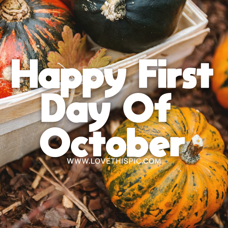 Autumn Pumpkin - Happy First Day Of October Pictures, Photos, and ...