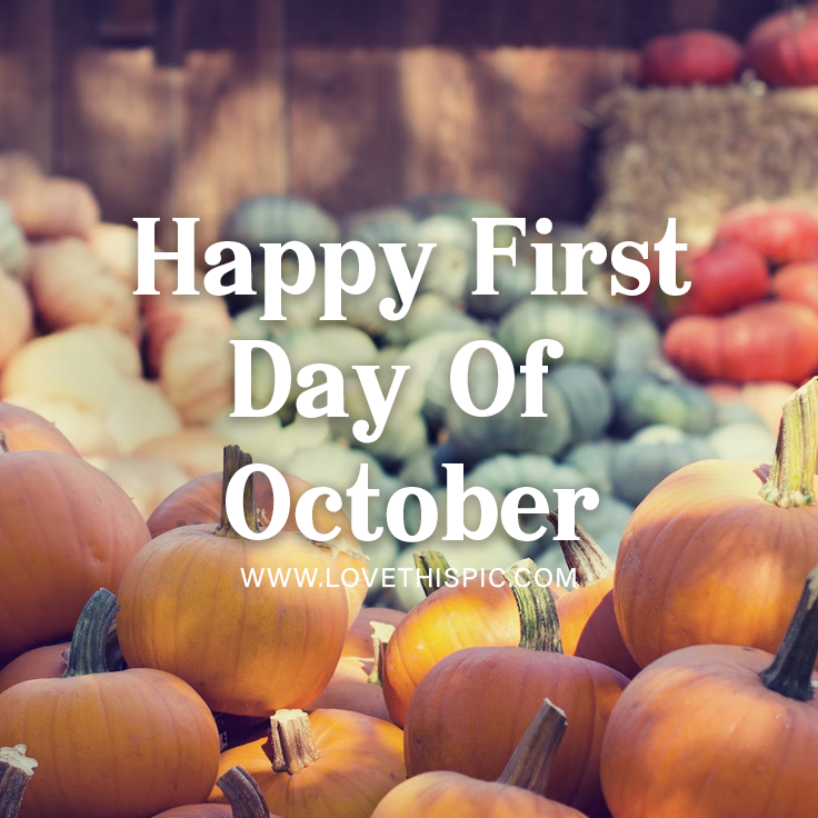 Bundle Of Assorted Pumpkins - Happy First Day Of October Pictures ...
