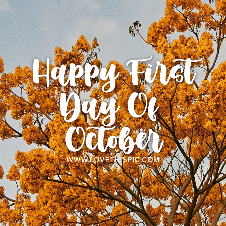 Orange Tree - Happy First Day Of October Pictures, Photos, and Images ...