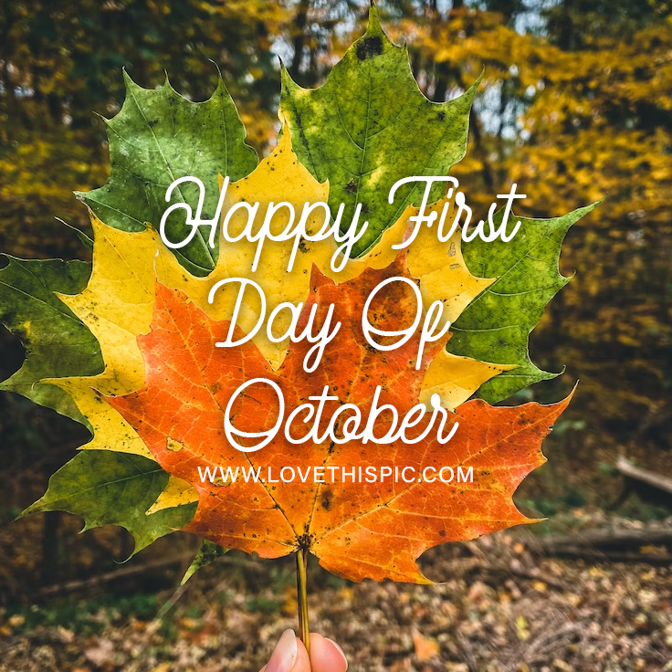 Green, Yellow And Orange Leaves - Happy First Day Of October Pictures ...
