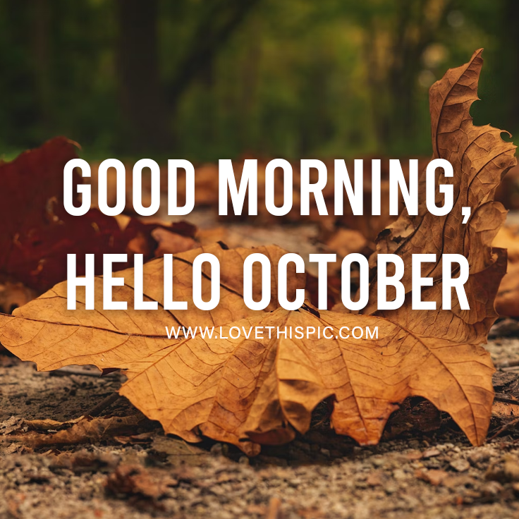Large Crunchy Leaf - Good Morning, Hello October Pictures, Photos, and ...