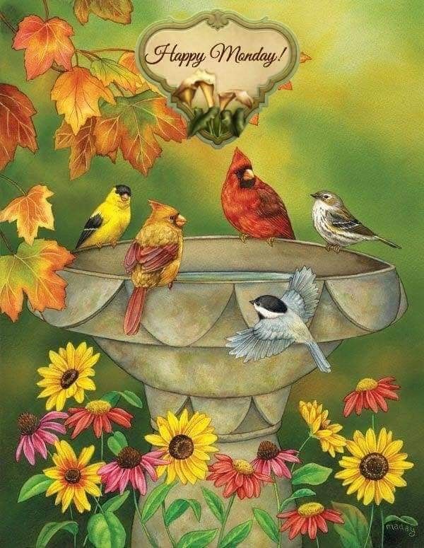 Birds On Birdbath - Happy Monday Pictures, Photos, and Images for ...