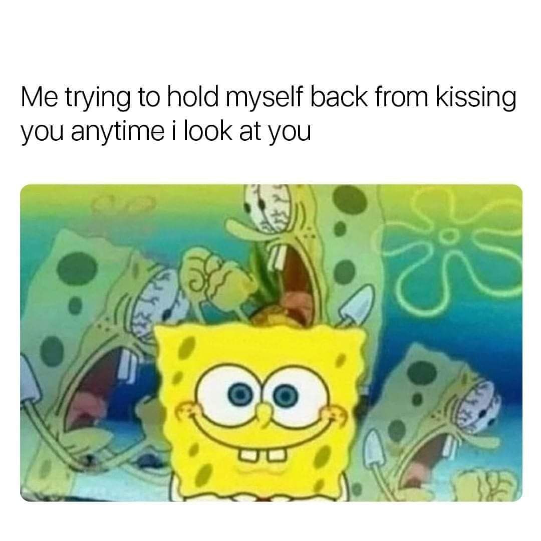 Me Trying To Hold Myself Back From Kissing You Anytime I Look At You ...
