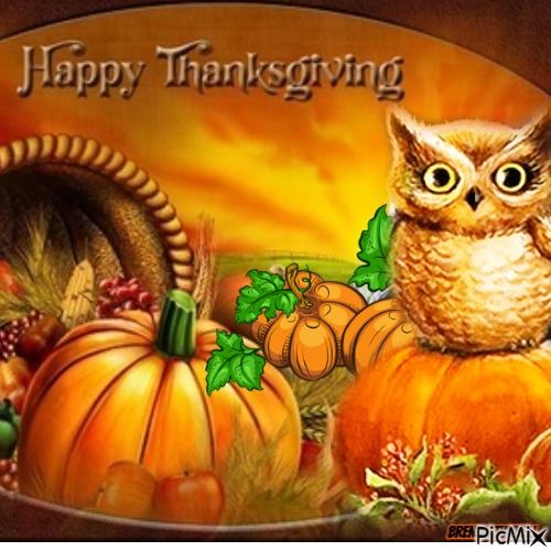 Owl On Pumpkin - Happy Thanksgiving Pictures, Photos, and Images for ...