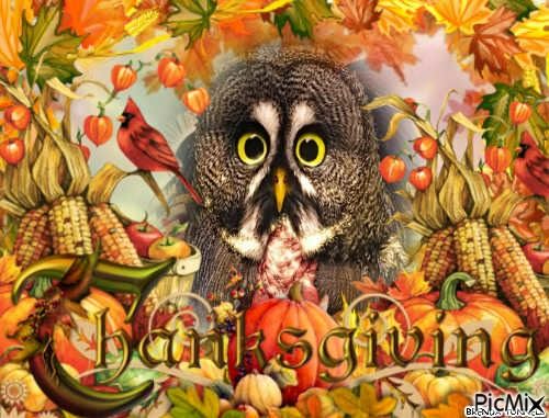 Fall Owl - Thanksgiving Pictures, Photos, and Images for Facebook ...