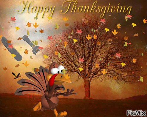 Running Turkey Animated Gif