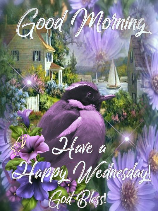 Lavender Bird & Flowers - Good Morning, Have A Happy Wednesday Pictures ...