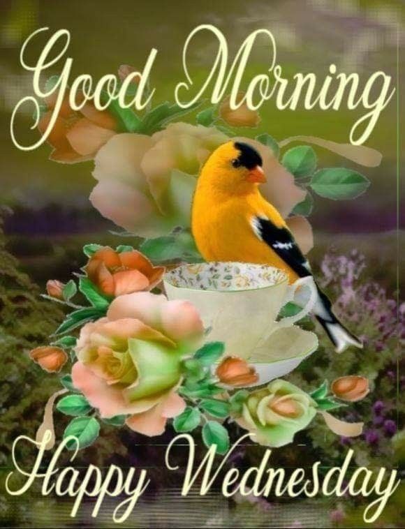 April 2025 Bird's Nest - Page 27 - Blogs & Forums