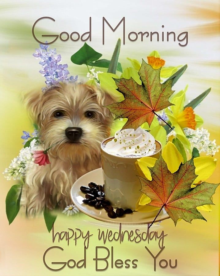 Good Morning, Happy Wednesday Quote Pictures, Photos, and Images for ...