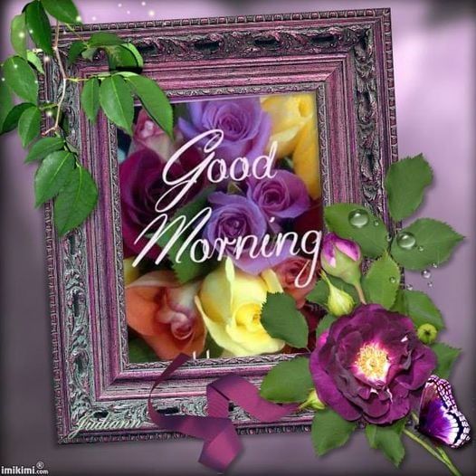 Flowers In Frame - Good Morning Pictures, Photos, and Images for ...