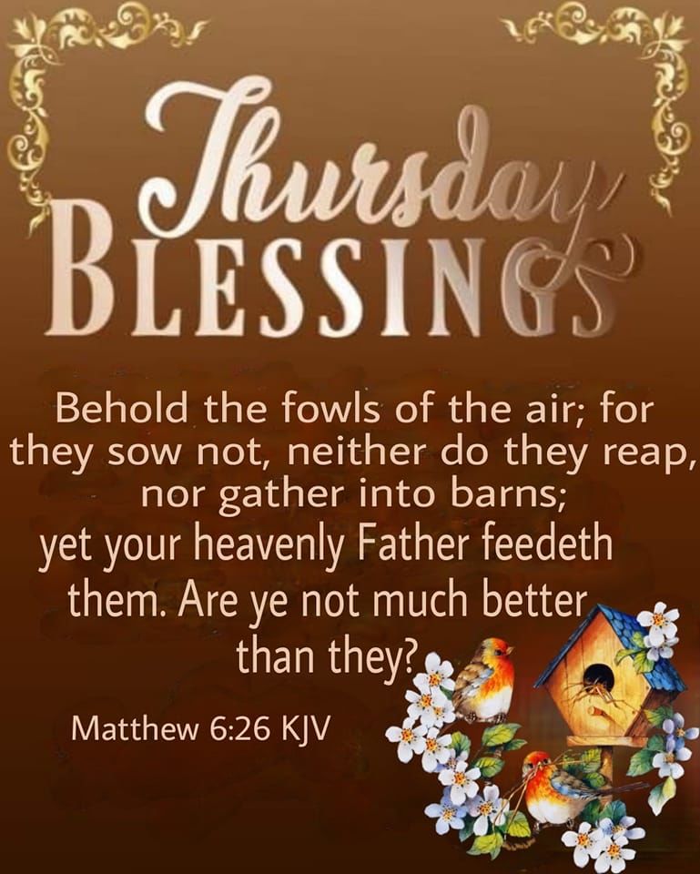 Matthew 6:26 Thursday Blessings Pictures, Photos, and Images for ...
