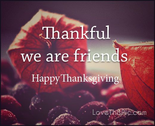 Thankful Friends Happy Thanksgiving Pictures, Photos, and Images for ...