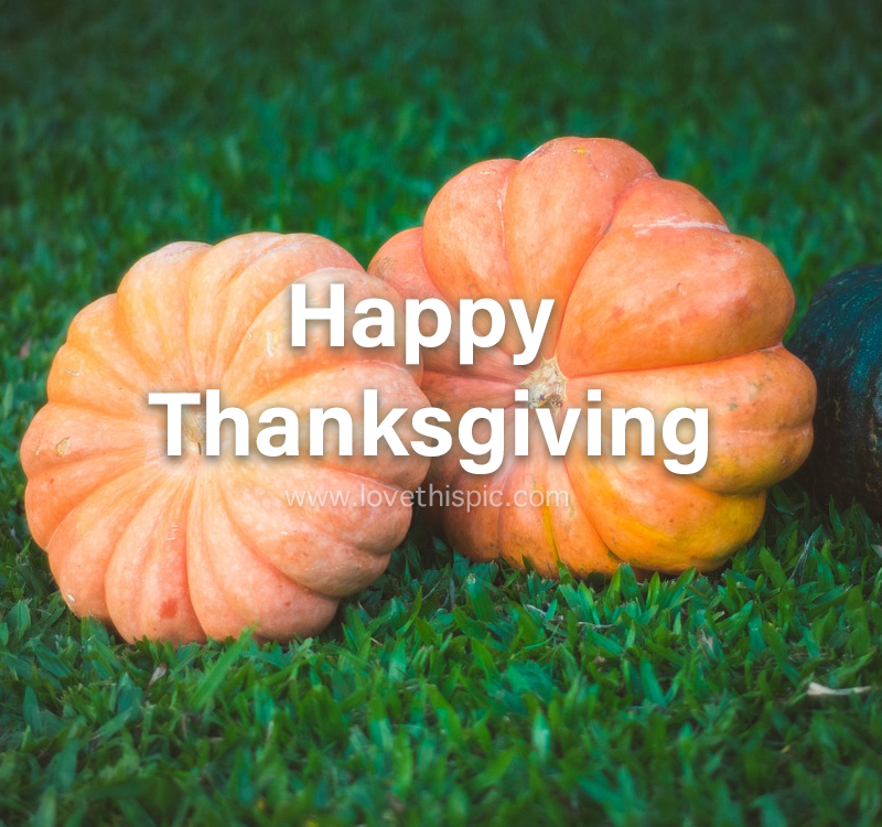 Small Orange Pumpkins - Happy Thanksgiving Pictures, Photos, and Images ...
