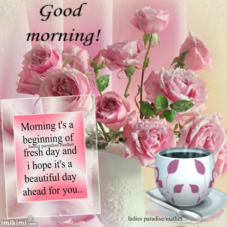 Pink Roses Good Morning Quote Pictures, Photos, and Images for Facebook ...