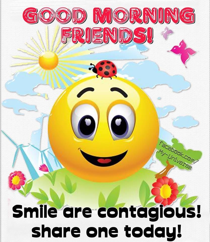 Share A Smile! Good Morning Friends Pictures, Photos, and Images for ...