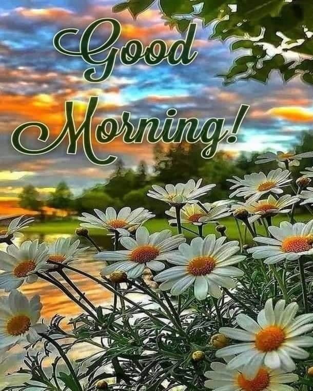 Daisy Good Morning Quote Pictures, Photos, and Images for Facebook ...