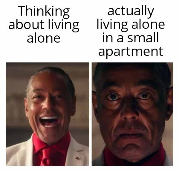 Thinking About Living Alone Vs Actually Living Alone In A Small ...