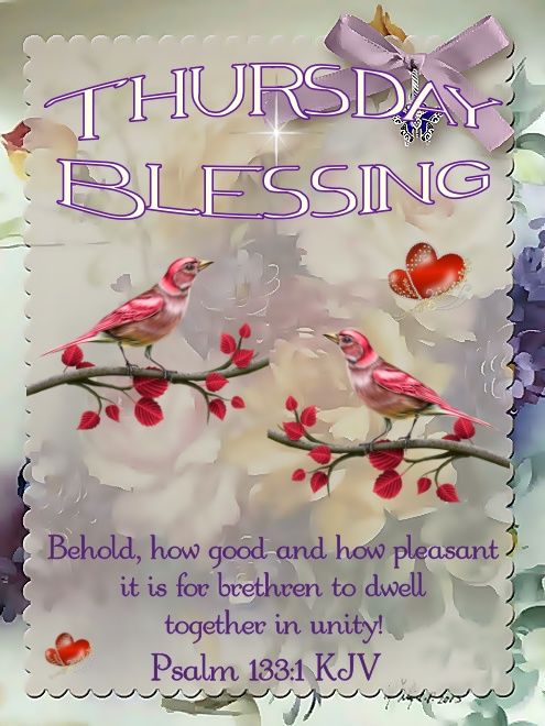 Nature Birds Thursday Blessing Pictures, Photos, and Images for ...